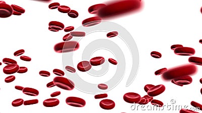 Floating blood cells stock video footage. Video of macro - 35469167