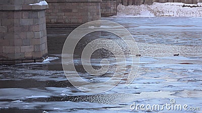 Ducks Under The Bridge In Winter Stock Video - Video of cold, duck ...