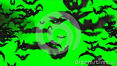 Flock of Bats Flying on Green Screen Stock Footage - Video of motion ...