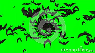 Flock of Bats Flying on Green Screen Stock Footage - Video of night ...
