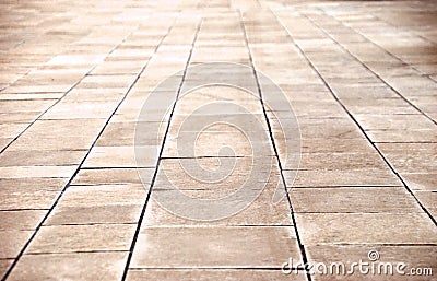 Floor Perspective Royalty Free Stock Images - Image: 5674309