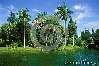 Florida Landscape Royalty Free Stock Image - Image: 425106
