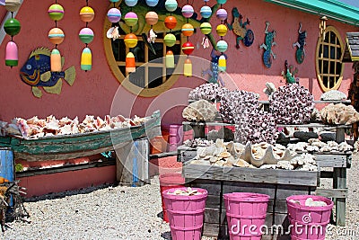 Florida Shell Shop Royalty Free Stock Photography - Image: 630337