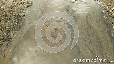 Flow of a Dirty Melted Puddle in Spring. Stock Video - Video of rain ...