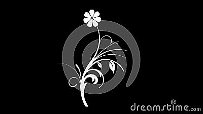 Flower Design Pattern Vector Animation Video with Transparent Alpha ...
