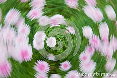 Flower Vortex Royalty Free Stock Photo - Image: 19158965