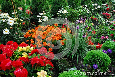 Flowers And Trees In Garden Stock Photo - Image: 7514080