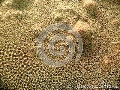 Fluffy Sand Produced By Vibrating Surface. Abstract Background That ...