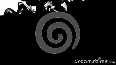 Liquid Ink Drop Transition Black and White Luma Matte Stock Footage ...