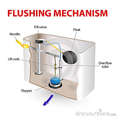Flushing Mechanism Flush Toilet Cartoon Vector | CartoonDealer.com ...