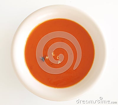 Fly In Soup Royalty Free Stock Image - Image: 22035056