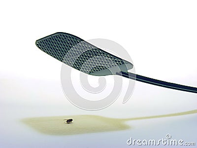Fly Swatting Stock Image - Image: 19568631