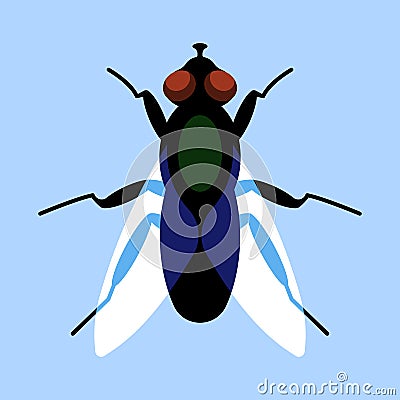 Fly With Wings, Top View. Vector Fly In The Original Flat Style. Blue ...