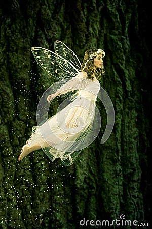 Flying Fairy Stock Photo - Image: 43062575