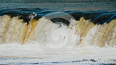 Flying Fish in Kuldiga Waterfall on the Rapids of Venta Stock Video ...