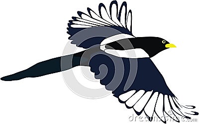 Flying Magpie Cartoon Vector Stock Vector - Image: 49399427