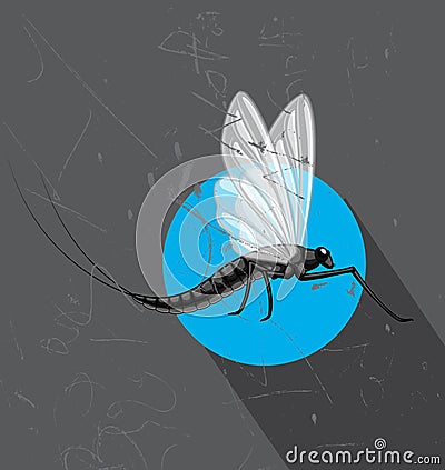 Flying Mayfly Insect Vector Illustration | CartoonDealer.com #94292470