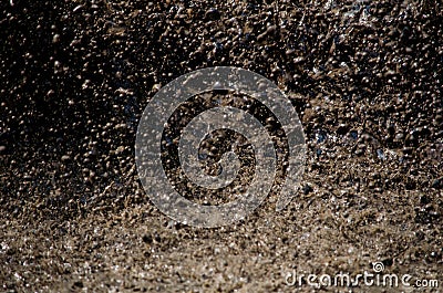 Flying Mud Splat Stock Photo - Image: 42977673