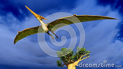 Flying Pterodactyl Stock Illustration - Image: 50281937