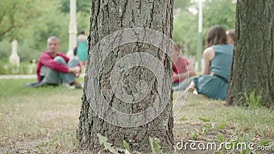 Focused View of Tree Body and Defocused People on Background. Texture ...