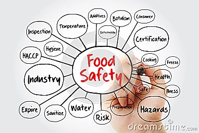 Food Safety Mind Map Flowchart With Marker, Concept For Presentations ...