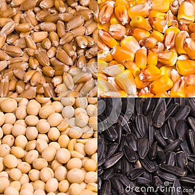 Food Seeds Stock Photos - Image: 7932723