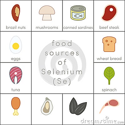 Food Sources Of Selenium Royalty-Free Stock Photo | CartoonDealer.com ...
