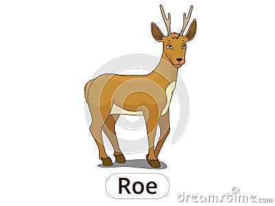 Forest Animal Roe Deer Cartoon Vector Illustration Stock Vector - Image ...