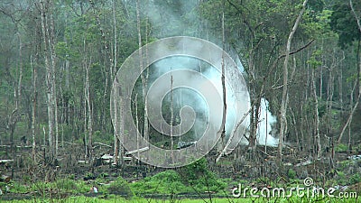 Forest Burned Out by Slash and Burn Stock Footage - Video of stump ...