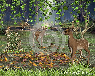 Forest Glade Stock Images - Image: 4216654