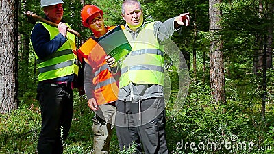 Forest Officer Explains To Workers Their Assigned Work Stock Footage ...