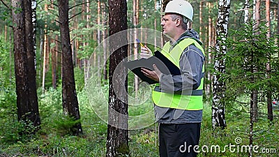 Forest Officer inspect stock video. Video of people, sawing - 44228919