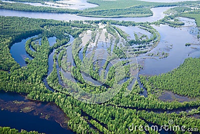 Forest river in summer, top view - Stock Image - Everypixel