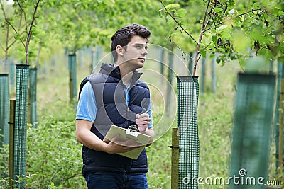 Forestry Worker With Clipboard Checking Young Trees Royalty-Free Stock ...
