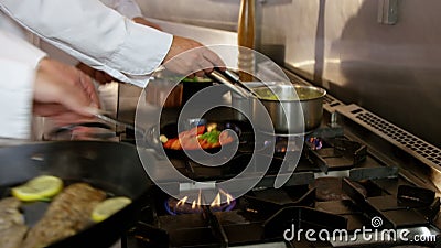 Four Chefs Cooking and Working Stock Video - Video of standing, chef ...