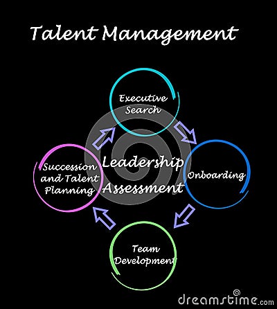 Components Of Talent Management Royalty-Free Stock Image ...