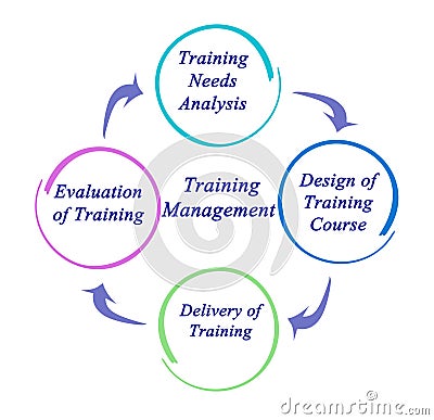 Components Of Training Management Royalty-Free Stock Image ...
