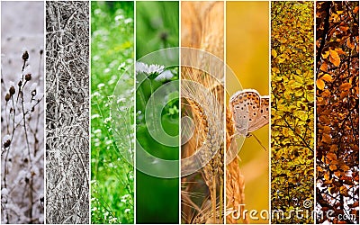 Four Seasons Collage Stock Photo - Image: 37266430