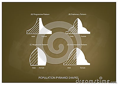 Four Types Of Population Pyramids On Chalkboard Background Cartoon ...