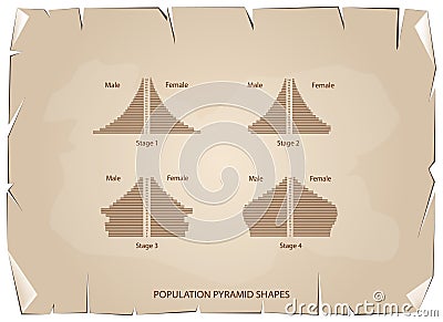 Four Types Of Population Pyramids On Old Paper Background Vector ...