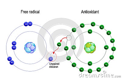 Free Radical And Antioxidant Cartoon Vector | CartoonDealer.com #92489903