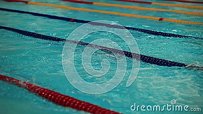 Freestyle swimming stock footage. Video of swimming, action - 42984698