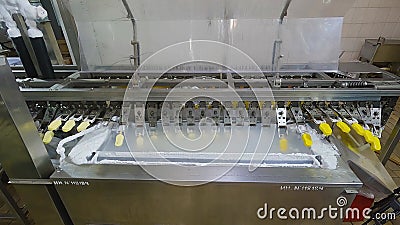 Modern Conveyor Belt for the Production of Ice Cream. Ice Cream ...