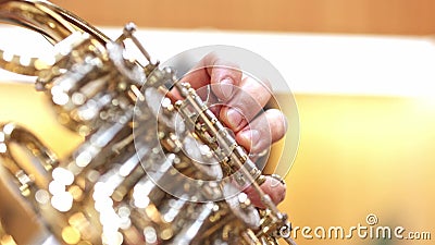French Horn Instrument, Hands Playing Horn Player in Philharmonic ...