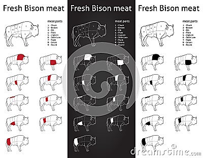 Fresh Bison Meat Cuts Set Stock Images - Image: 38482644