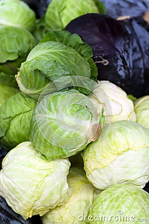 Cabbage in a basket stock photo. Image of foods, collect - 45497922