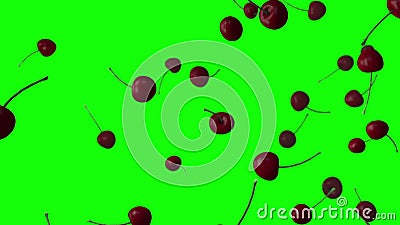 Cherry Fruits Loop Green Screen Animation Stock Video - Video of eating ...