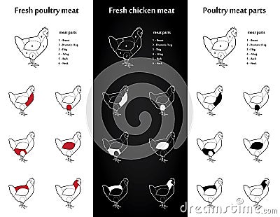 Fresh Chicken Meat Cuts Colour Diagram Set Stock Photo - Image: 38482620