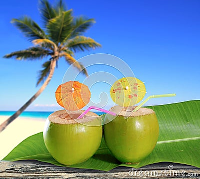 Fresh Coconuts Cocktails Tropical Palm Tree Beach Stock Photography ...