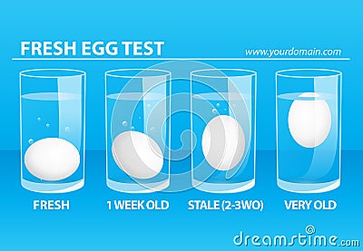 Fresh Egg Test Stock Illustration - Image: 45314349
